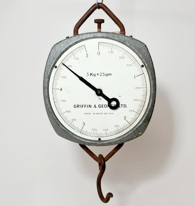 Griffin & George Hanging Scales | CURIOUS SCIENCE