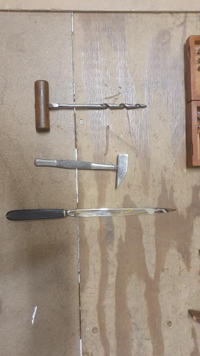 Bradell | CURIOUS SCIENCE