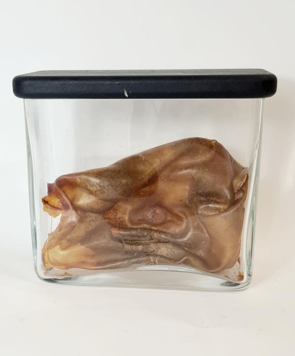 Deformed Face In Glass Jar | CURIOUS SCIENCE