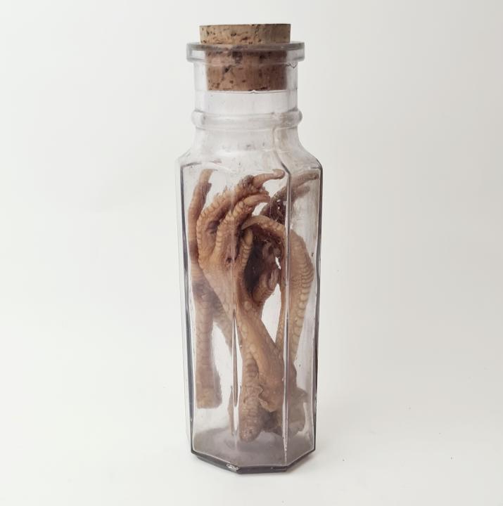 Chicken Feet In Glass Jar | CURIOUS SCIENCE