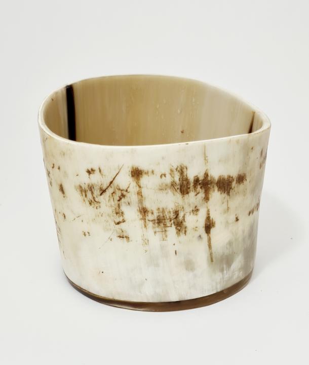 Horn Container | CURIOUS SCIENCE