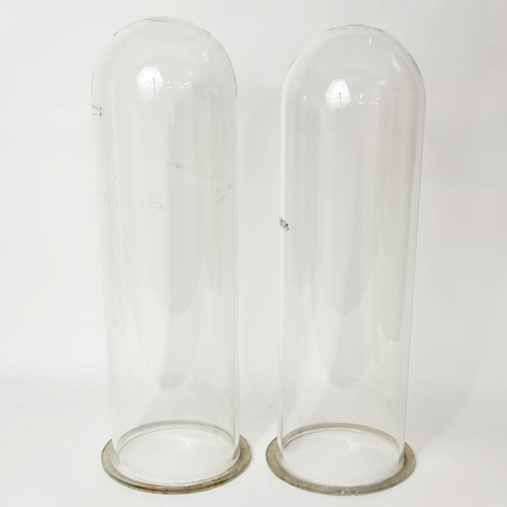 Tall Bell Jars (priced separately) | CURIOUS SCIENCE