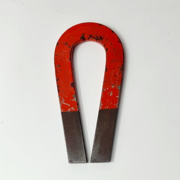 Horseshoe Magnet | CURIOUS SCIENCE