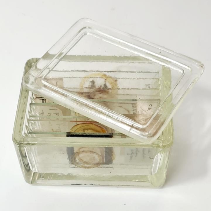 Glass Slide Sterilising Tank | CURIOUS SCIENCE