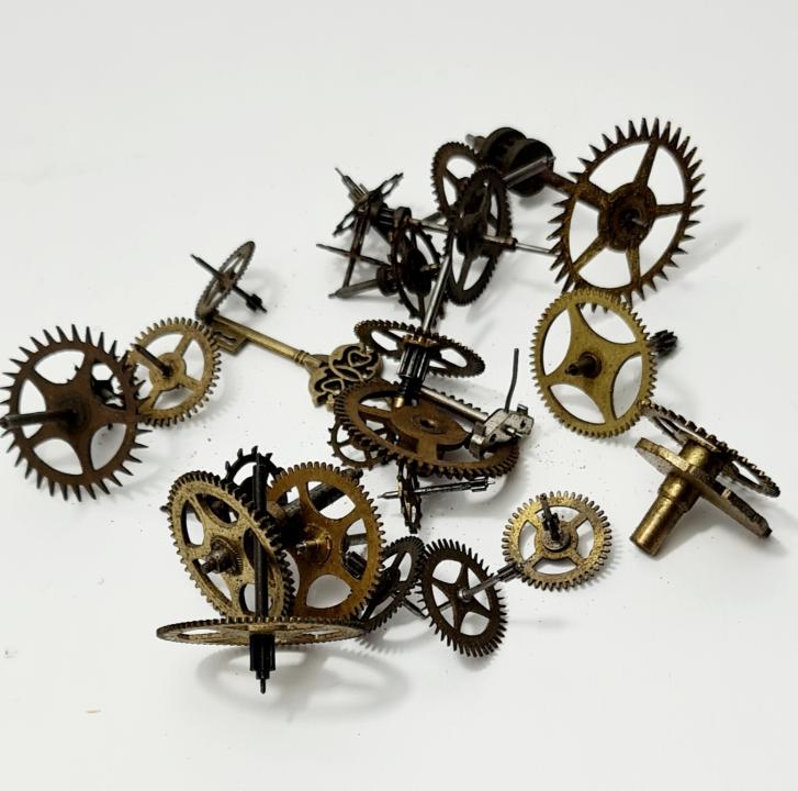 Assorted Cogs | CURIOUS SCIENCE