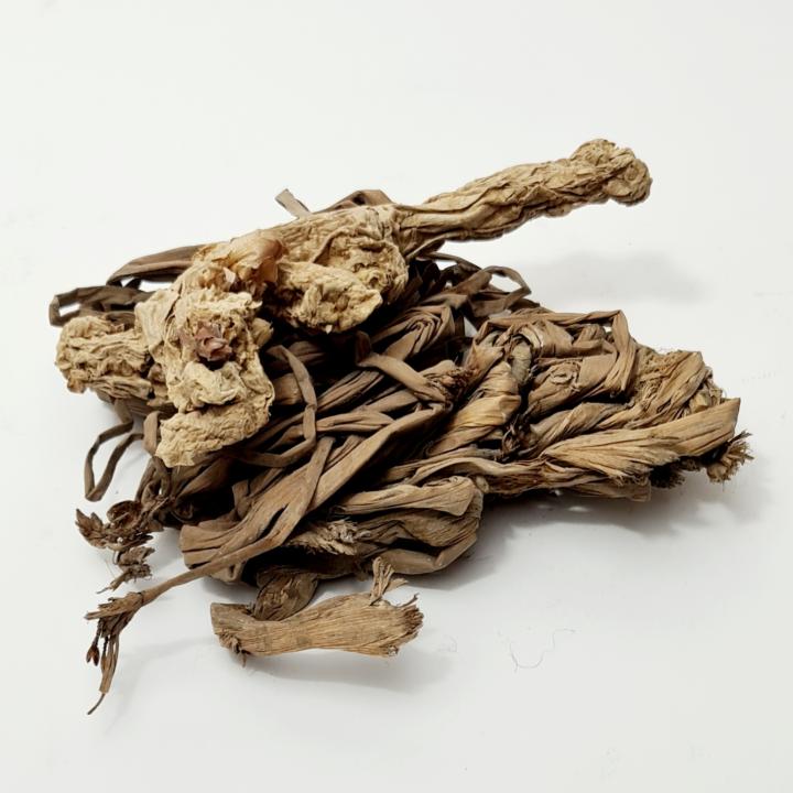 Dried Specimens (2 pieces) | CURIOUS SCIENCE