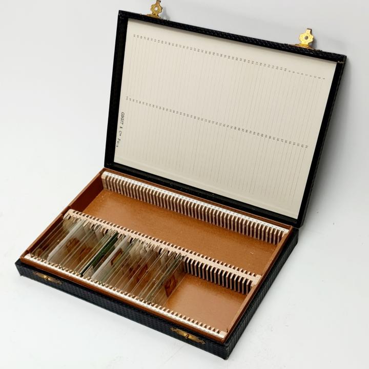 Slide Storage Box & Slides | CURIOUS SCIENCE