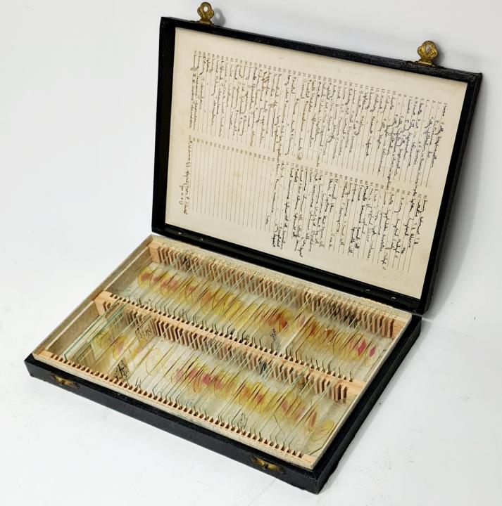 Slide Storage Box & Slides | CURIOUS SCIENCE