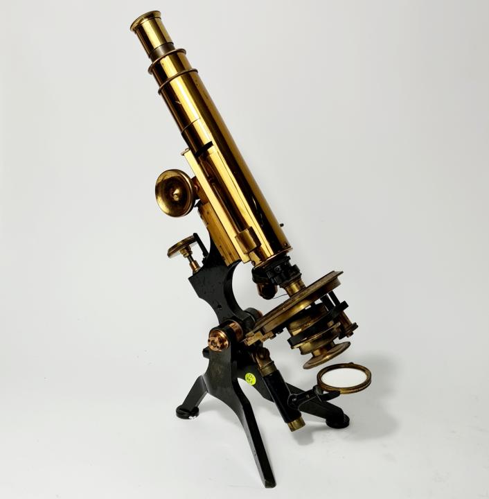 Microscopy | CURIOUS SCIENCE