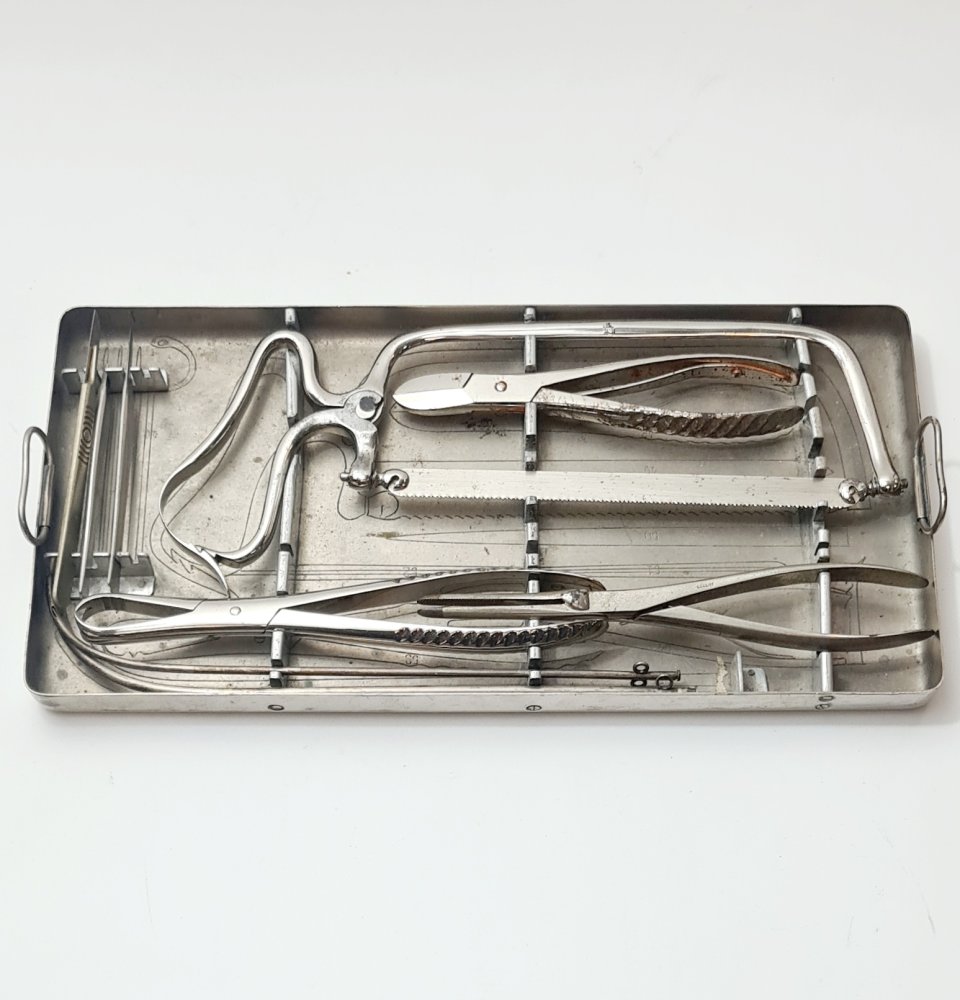 Stainless Steel Tray Of Instruments | CURIOUS SCIENCE