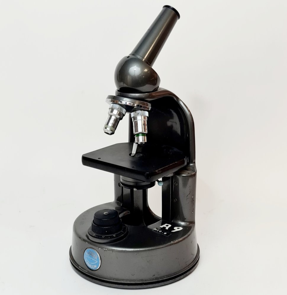 Microscope | CURIOUS SCIENCE