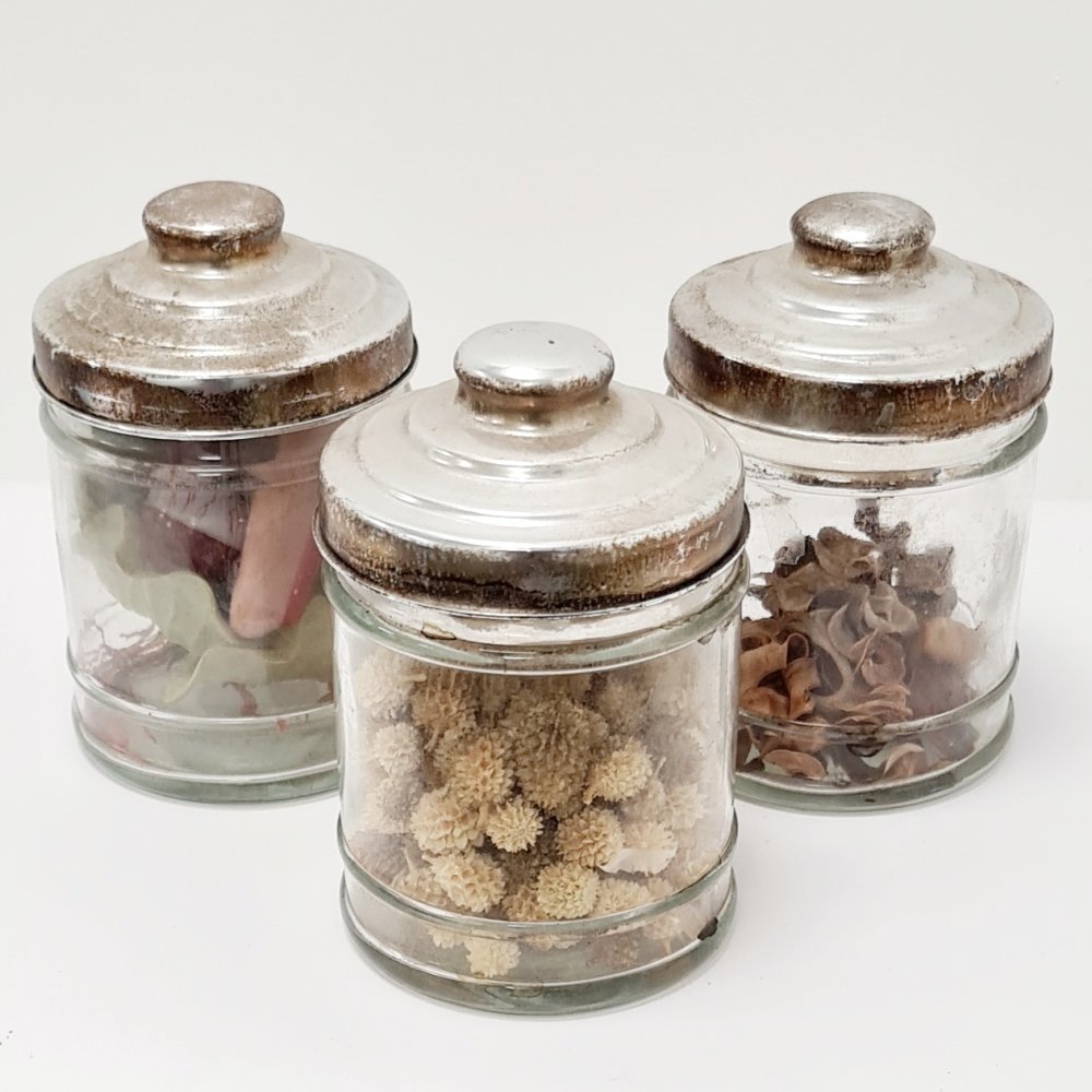 Dry specimens In Glass Jars | CURIOUS SCIENCE