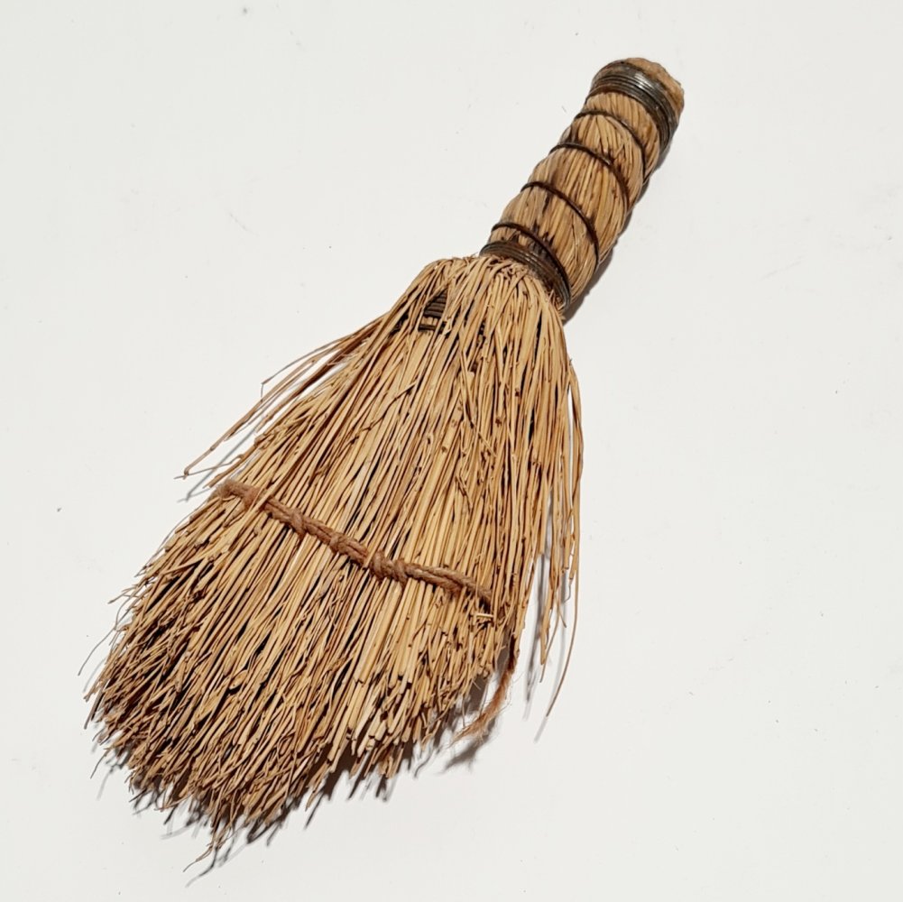 Sage Brush | CURIOUS SCIENCE