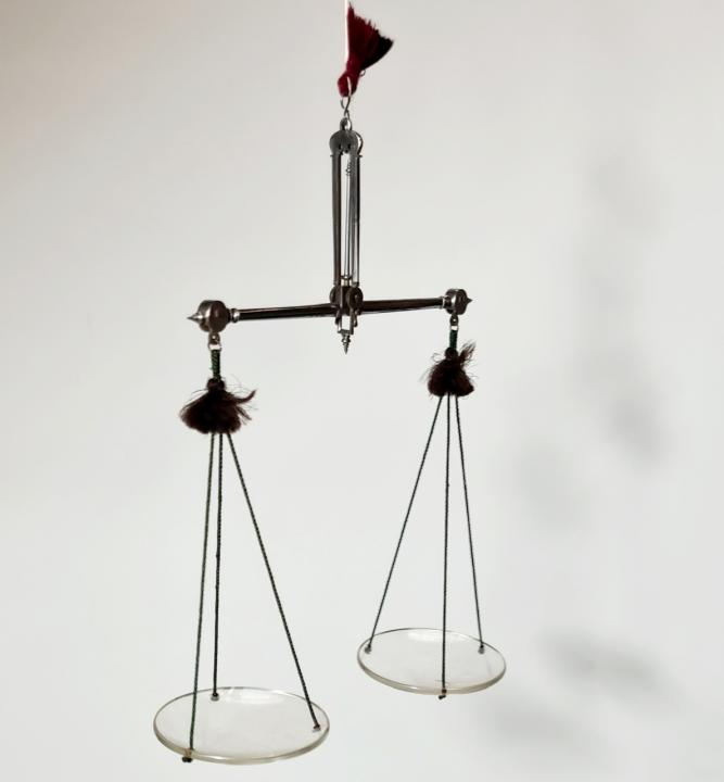 Small Hanging Scales In Case | CURIOUS SCIENCE