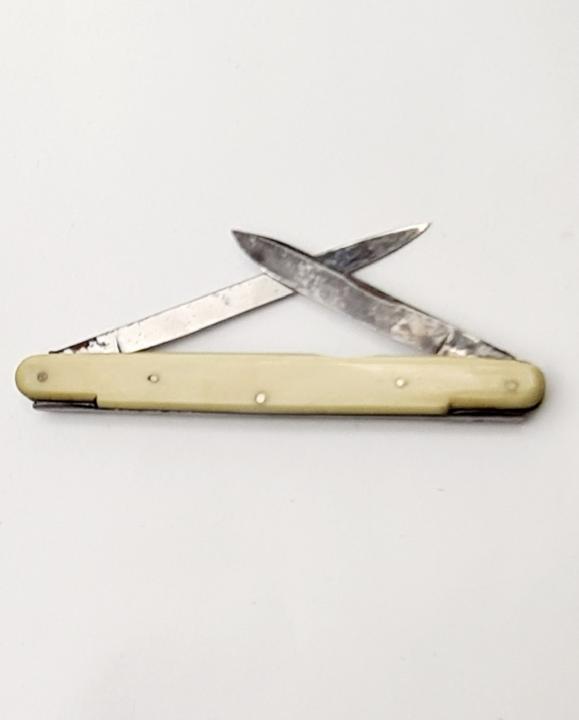 Folding Scalpel / Knife with Bone Handle | CURIOUS SCIENCE