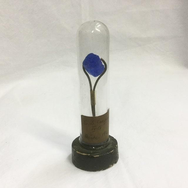 Mineral Specimen in Glass a Tube. | CURIOUS SCIENCE