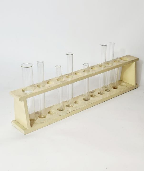 Painted Wooden Test Tube Rack + Tubes | CURIOUS SCIENCE