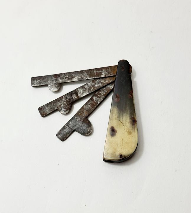 Horn Handled Fleam | CURIOUS SCIENCE