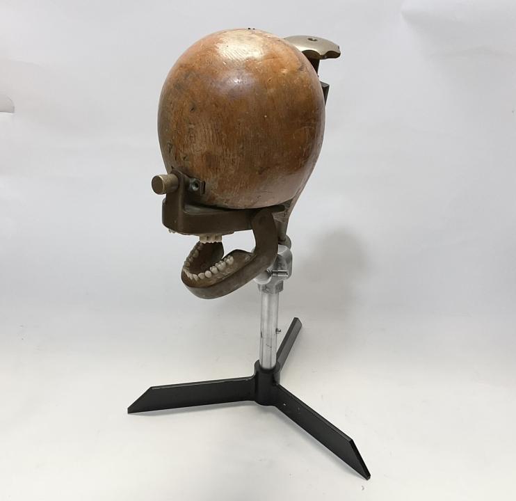 Period Phantom Head | CURIOUS SCIENCE