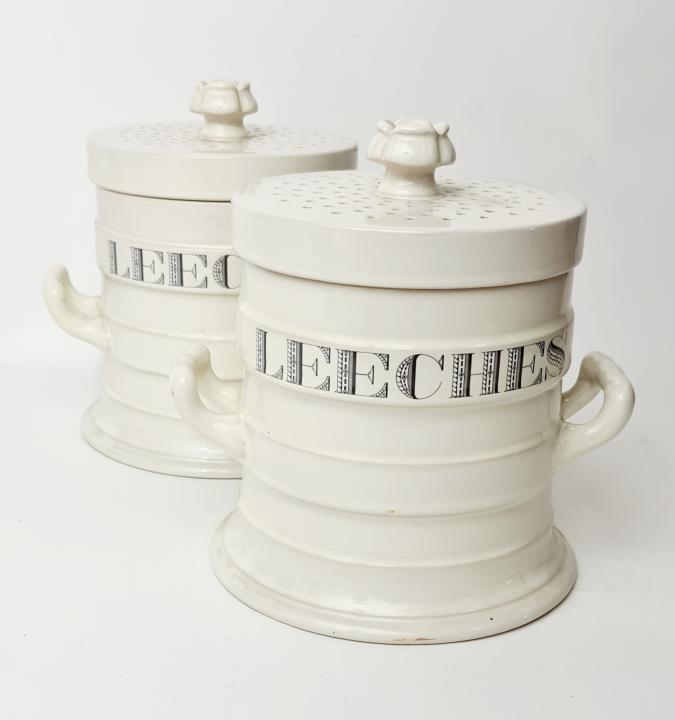 Creamware Leech Jar (priced separately) | CURIOUS SCIENCE