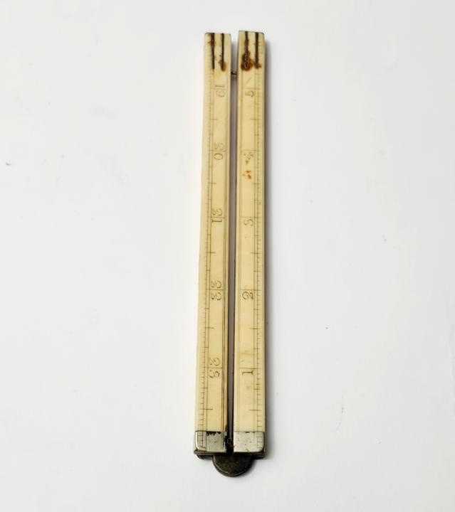 Extending Bone Ruler | CURIOUS SCIENCE