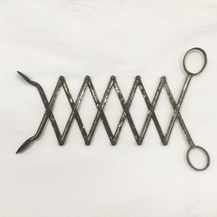 Victorian Extending Grab Tool | CURIOUS SCIENCE