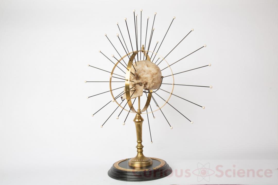 Craniometer | CURIOUS SCIENCE