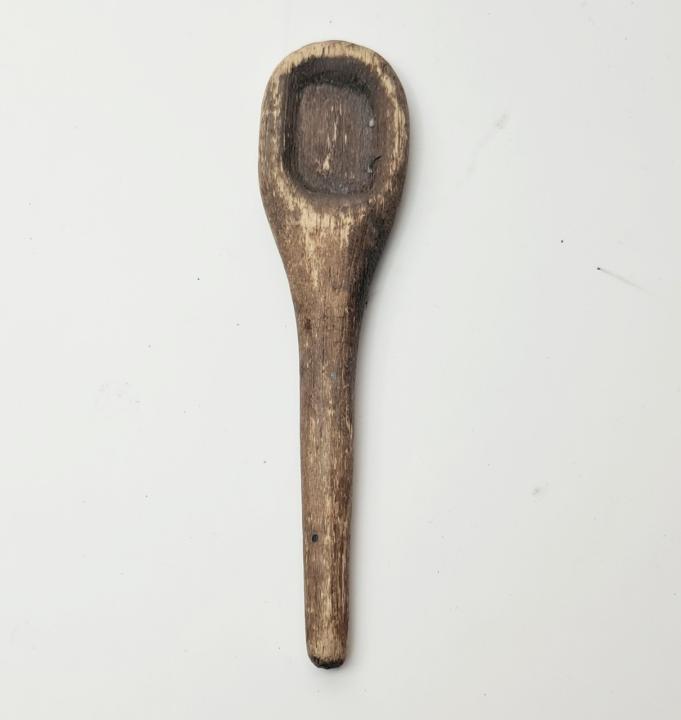 Rustic Wooden Spoon | CURIOUS SCIENCE