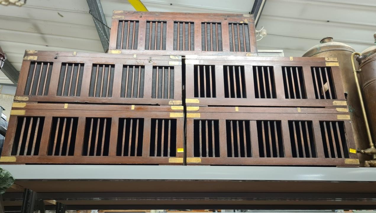 5 x pigeon cases | CURIOUS SCIENCE