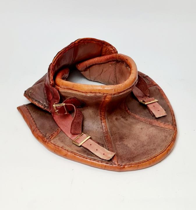 Leather Neck Brace | CURIOUS SCIENCE