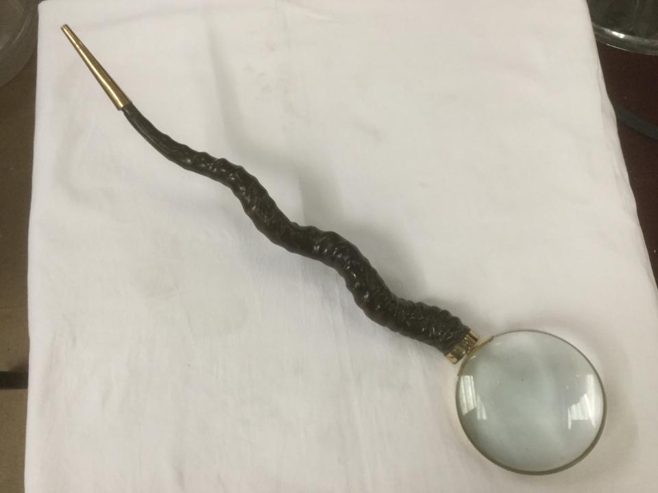 Magnifier Horn Handle | CURIOUS SCIENCE