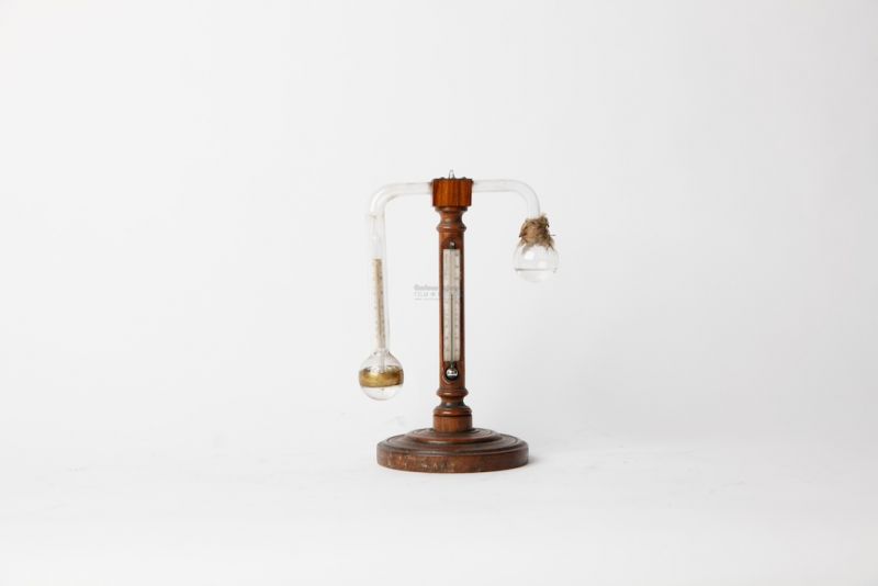 Thermometer | CURIOUS SCIENCE