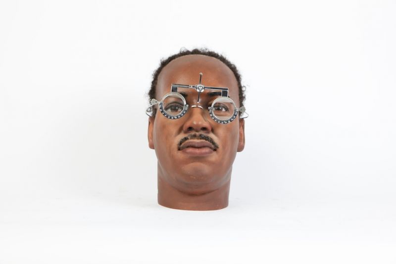 Wax male head model | CURIOUS SCIENCE