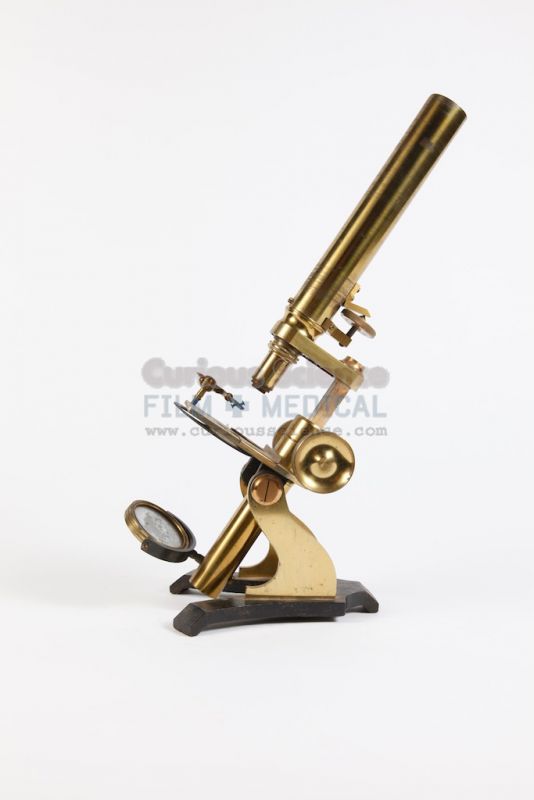 Compound Microscope | CURIOUS SCIENCE
