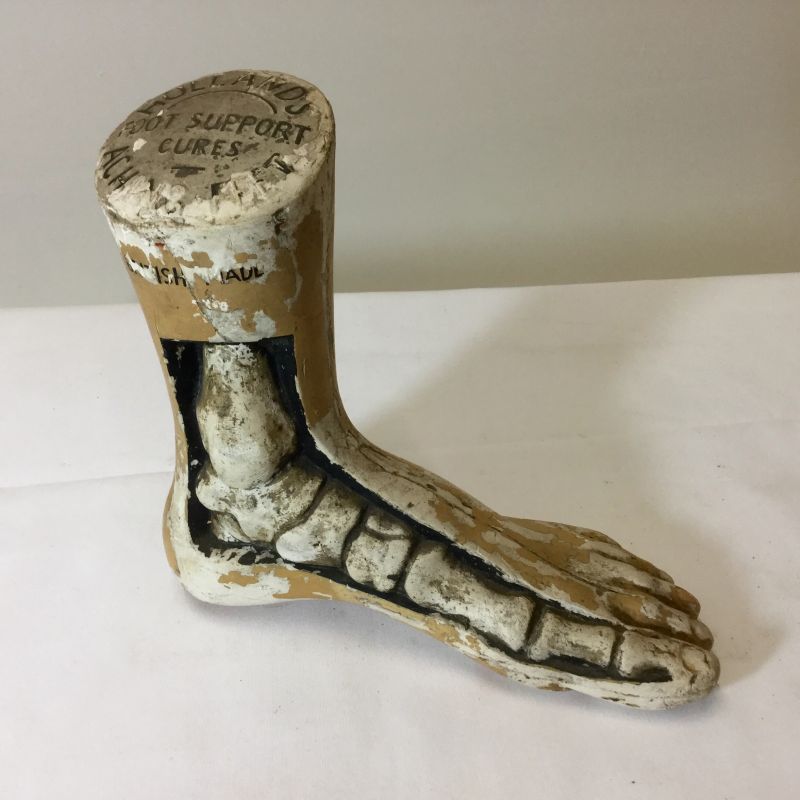 Model Foot - Advertising Prop | CURIOUS SCIENCE