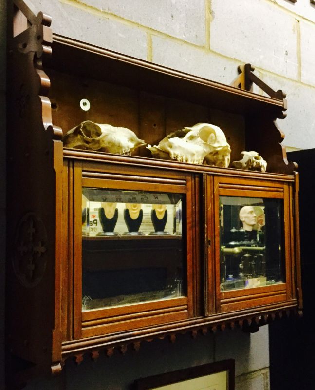 Wall cabinet | CURIOUS SCIENCE