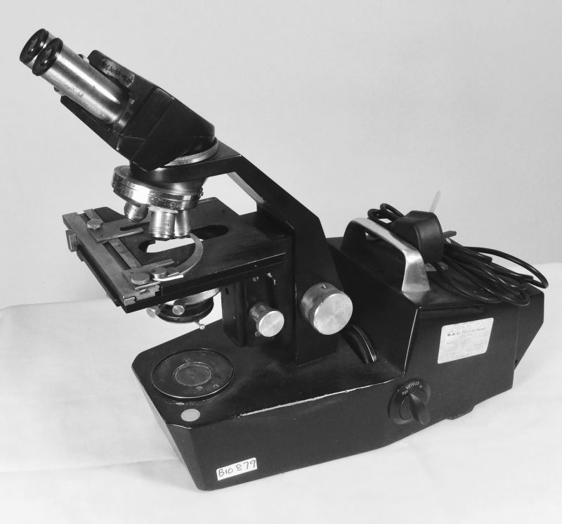 Laboratory microscope | CURIOUS SCIENCE