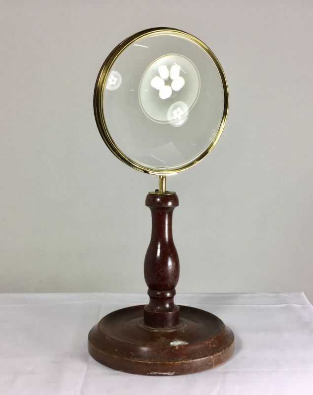 Magnifying glass | CURIOUS SCIENCE