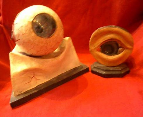 Model eyes | CURIOUS SCIENCE