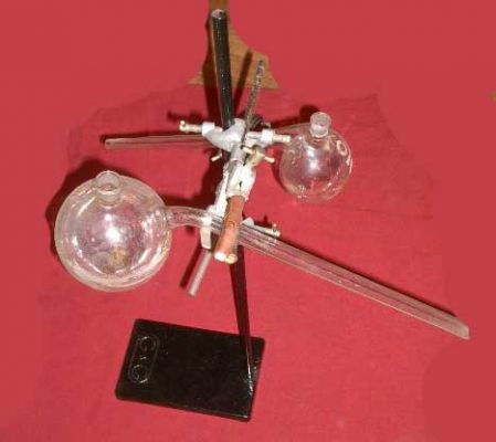 450 | CURIOUS SCIENCE