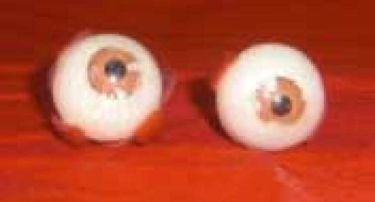 Duplicate - Model Eyes | CURIOUS SCIENCE