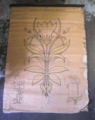 Botanical Chart | CURIOUS SCIENCE