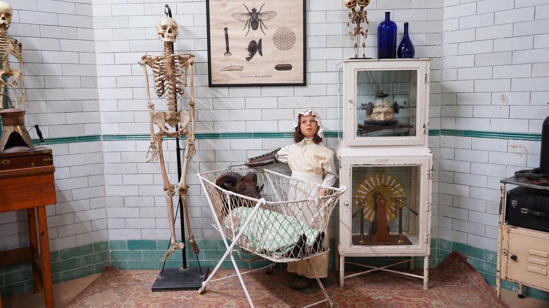 Medical & Scientific Antique & Period Prop Hire | CURIOUS SCIENCE