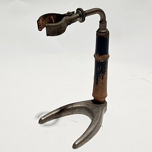 Articulated jaw | CURIOUS SCIENCE