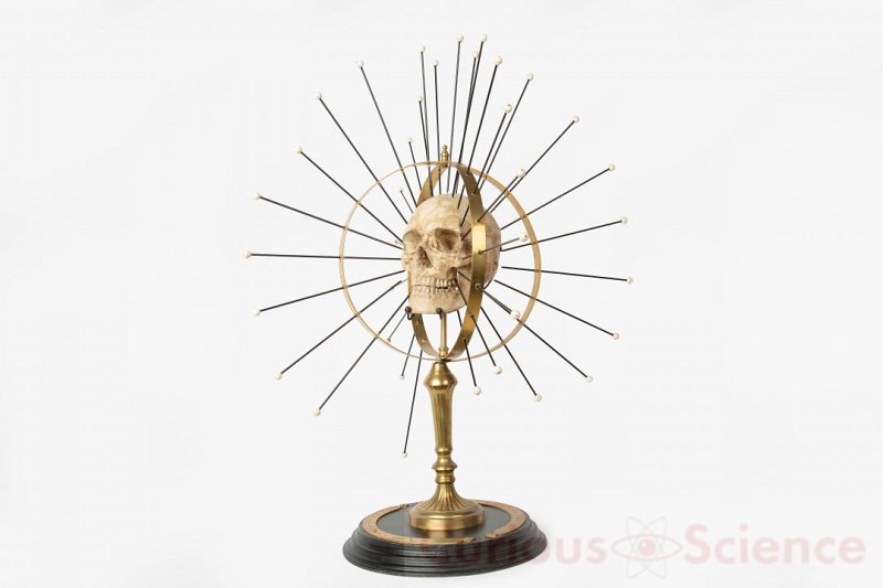 Craniometer | CURIOUS SCIENCE