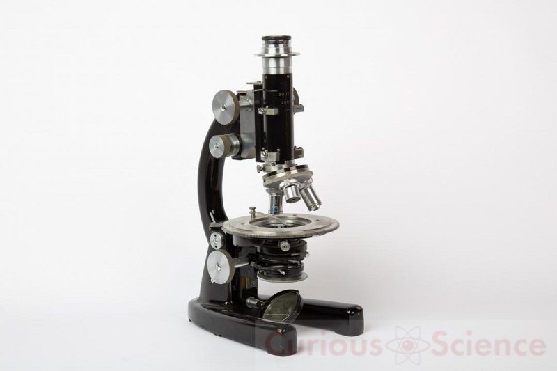 Microscope | CURIOUS SCIENCE