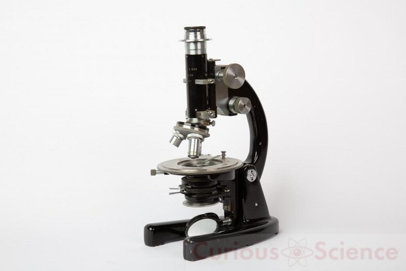 Microscope | CURIOUS SCIENCE