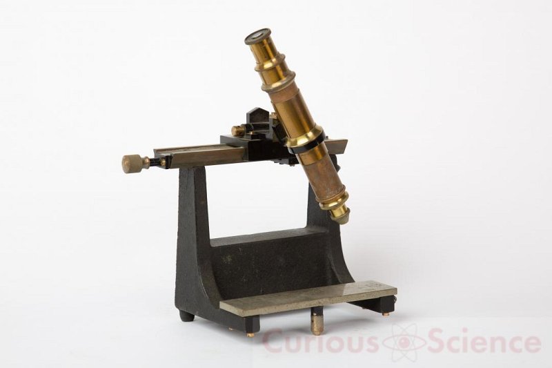 Microscope | CURIOUS SCIENCE