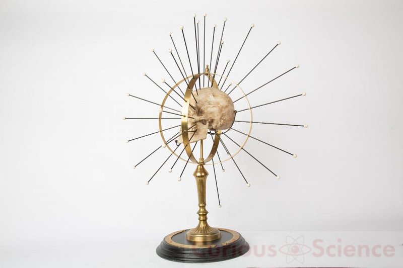 Craniometer | CURIOUS SCIENCE