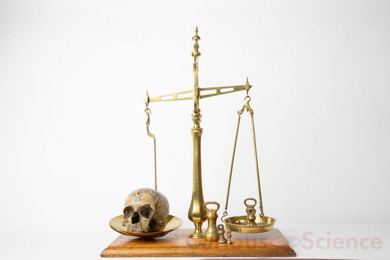 Brass And Wooden Scales | CURIOUS SCIENCE